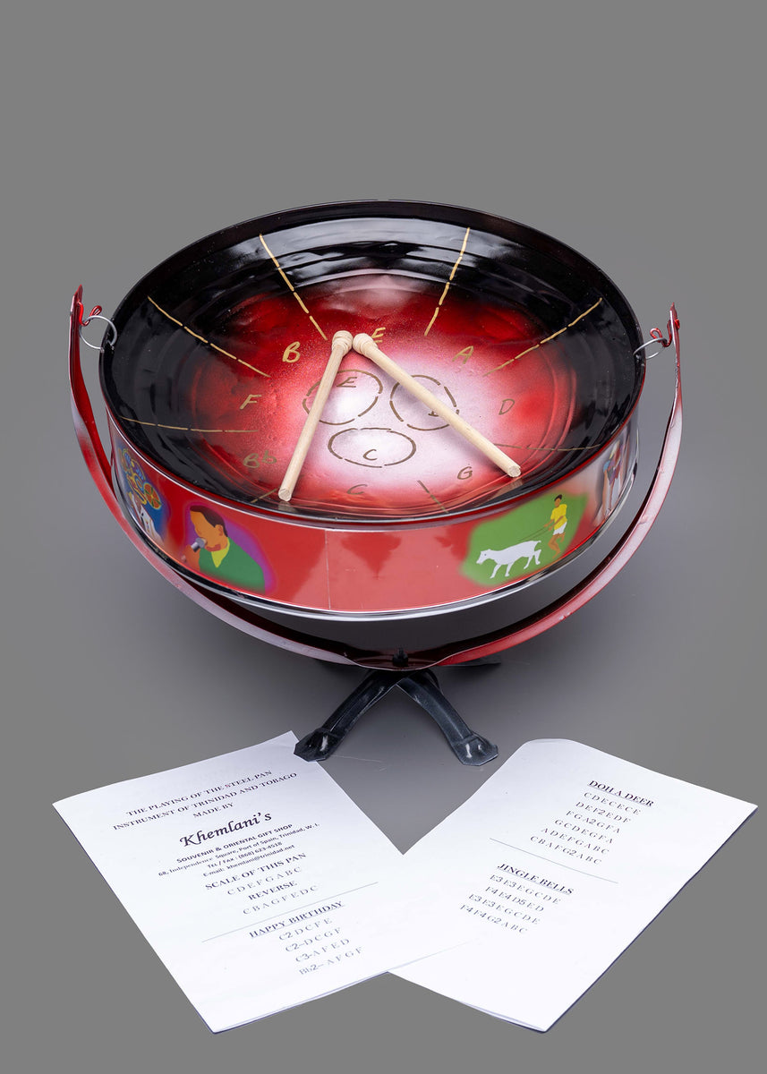 Tuned Mini Steelpan with Stands, Pan Sticks & Music Sheets – My Trini ...